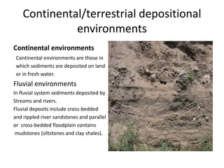 Sedimentary depositional environments | PPTX
