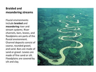 Sedimentary depositional environments | PPTX