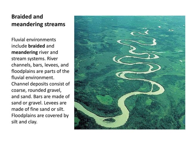 Sedimentary depositional environments | PPTX