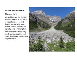 Sedimentary depositional environments | PPTX