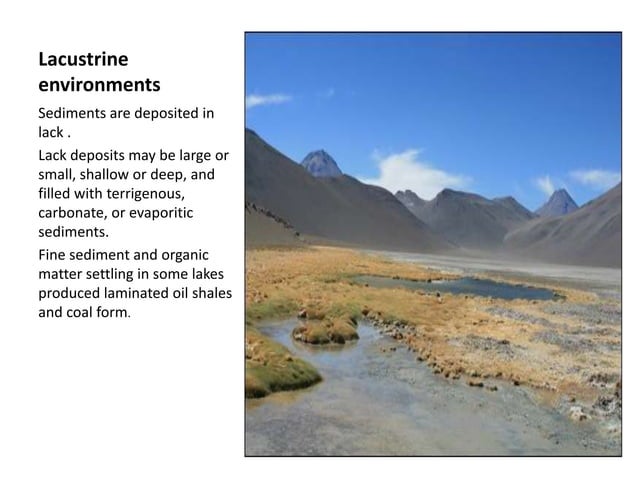Sedimentary depositional environments | PPTX