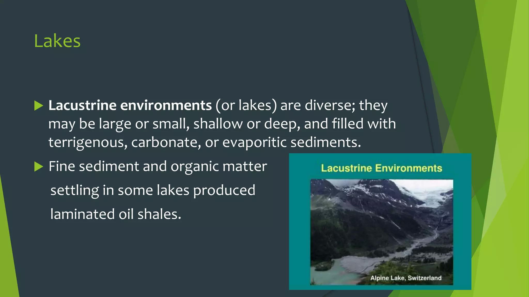 Sedimentary environment by uzair shah | PPTX