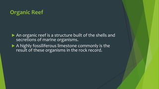 Sedimentary environment by uzair shah | PPTX