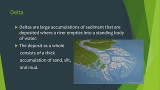 Sedimentary environment by uzair shah | PPTX