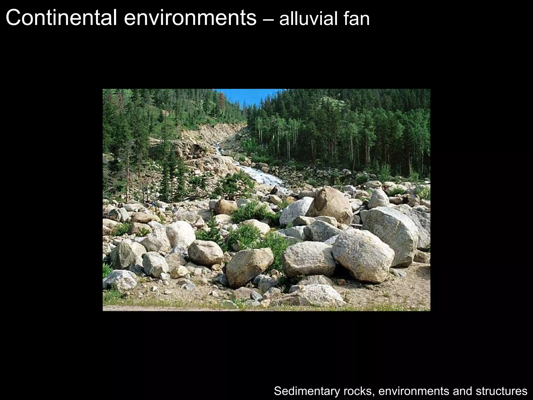 Sedimentary environments | PPT