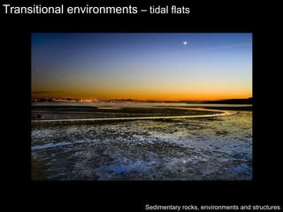Sedimentary environments | PPT