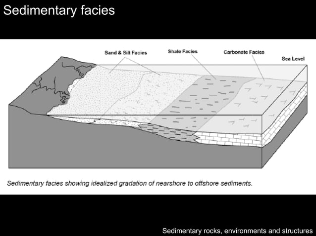 Sedimentary environments | PPT