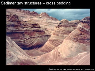 Sedimentary environments | PPT