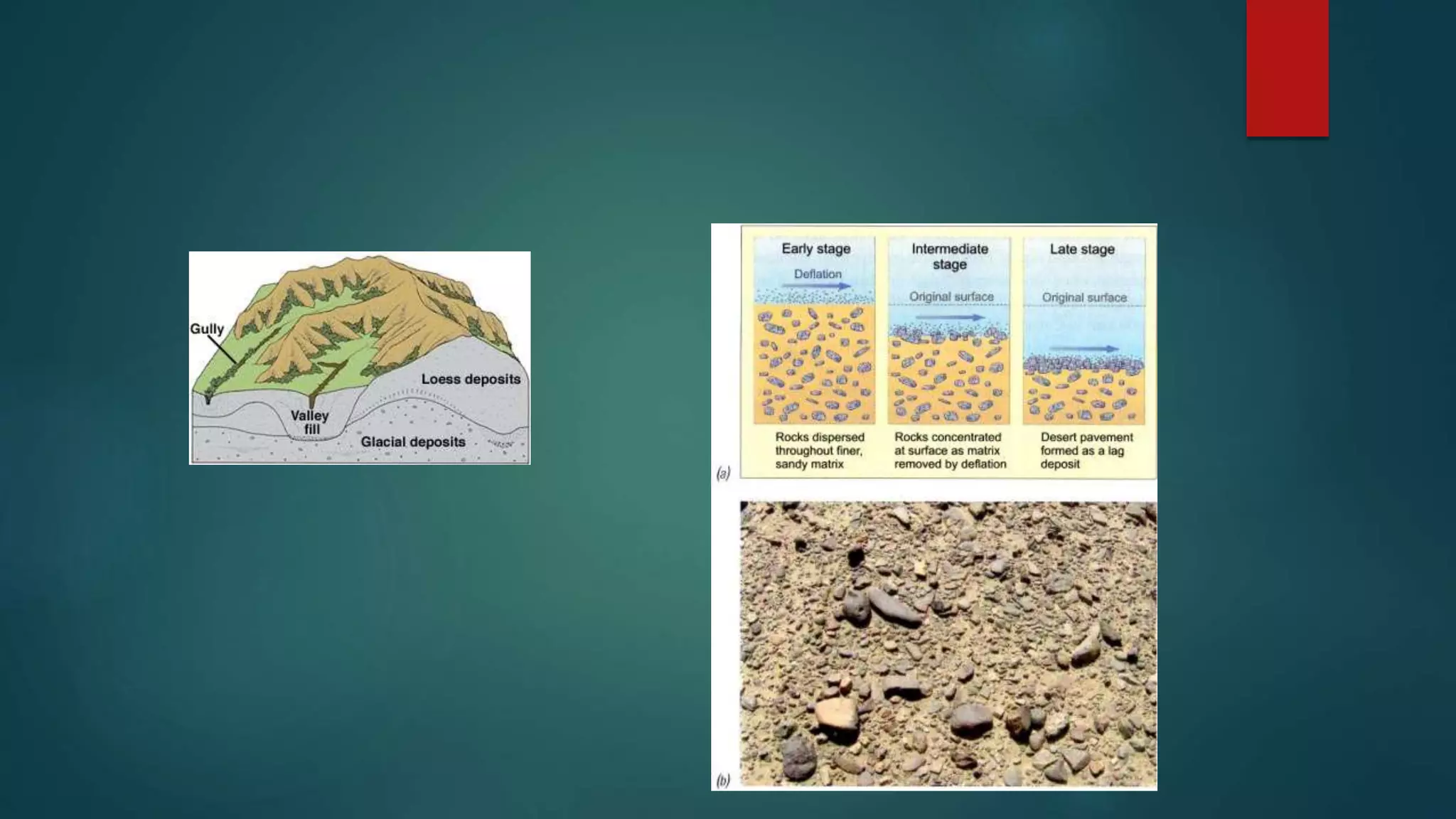 Sedimentary environments | PPTX
