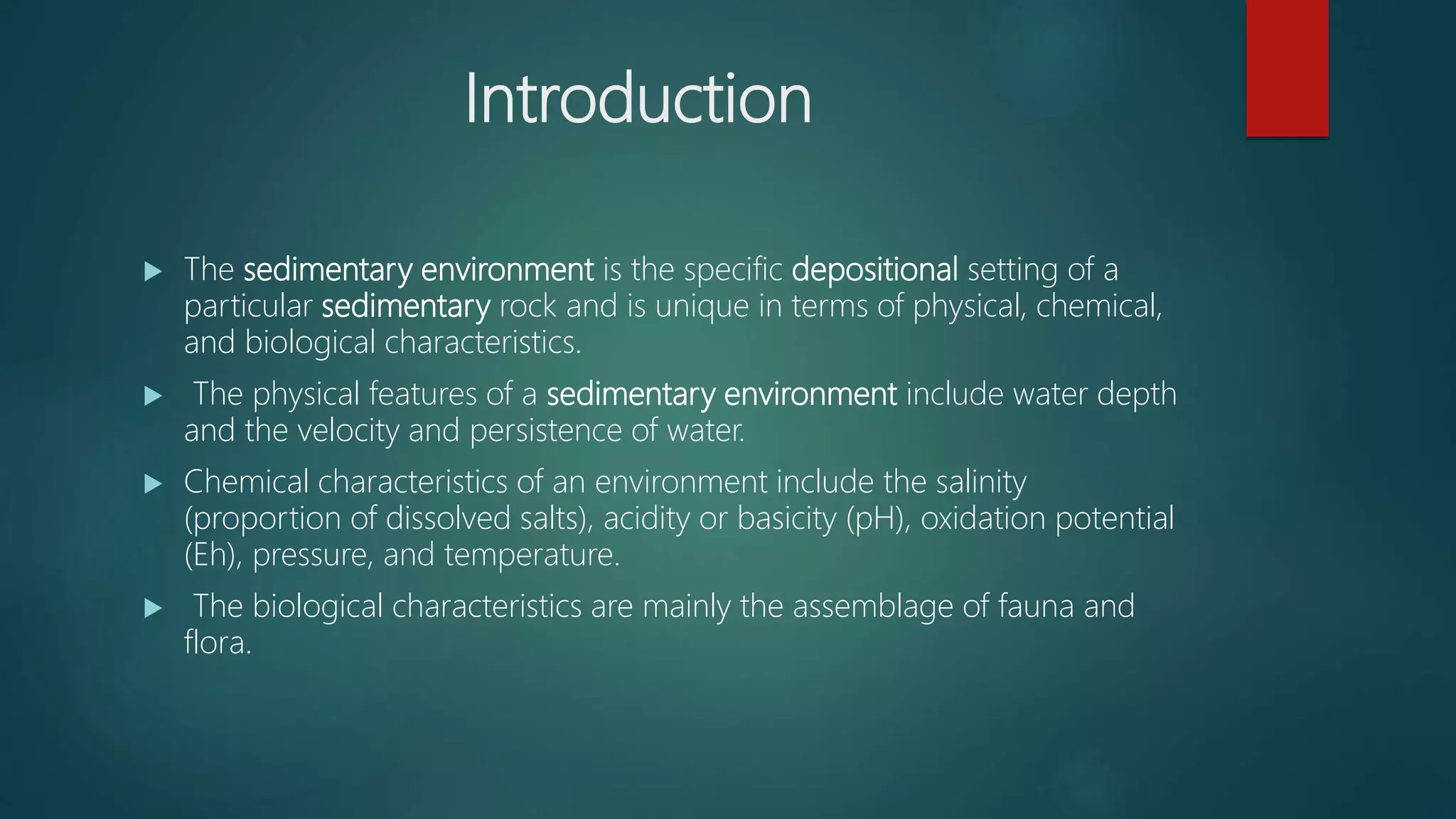 Sedimentary environments | PPTX