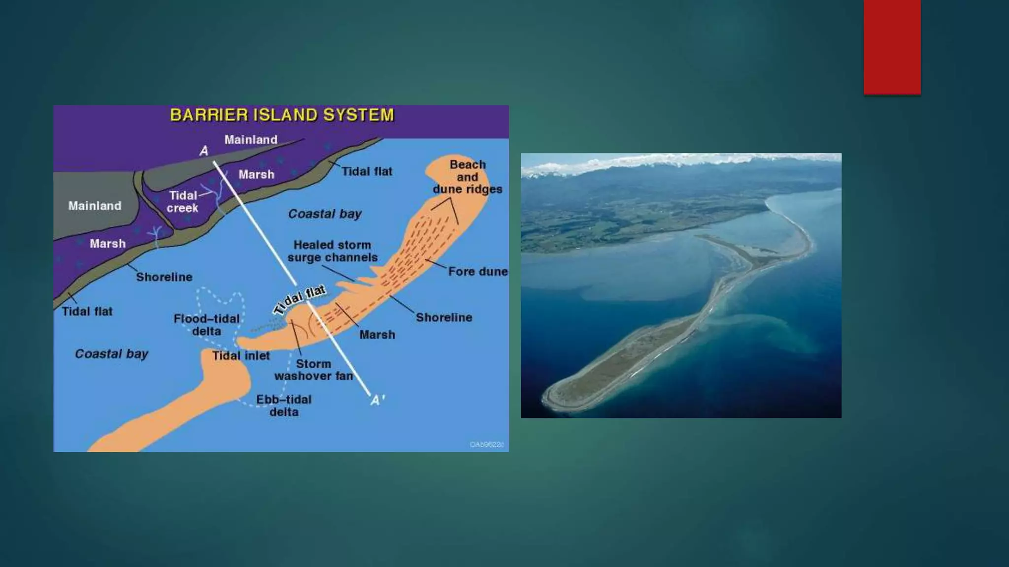 Sedimentary environments | PPTX