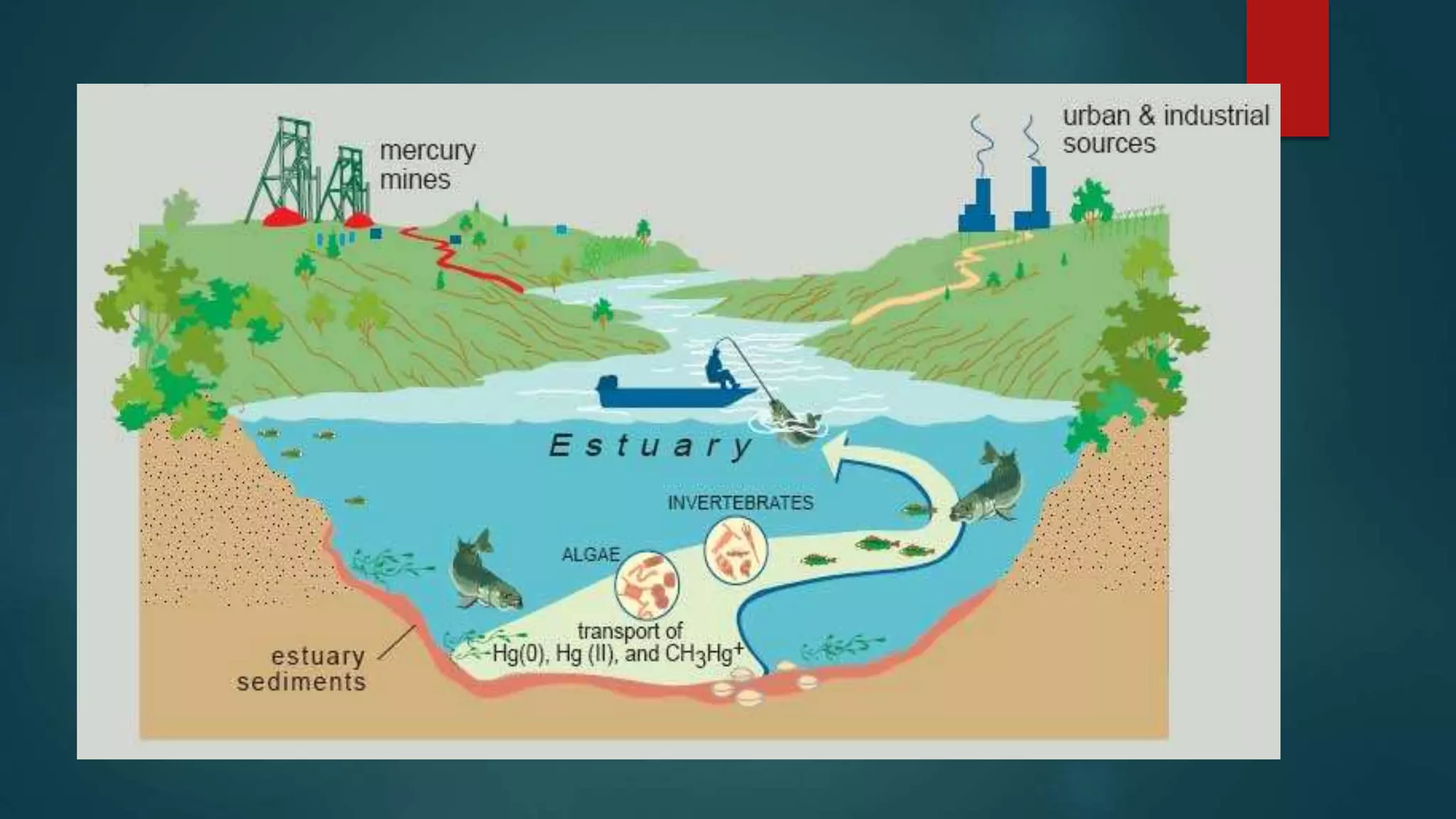 Sedimentary environments | PPTX | Geology | Science