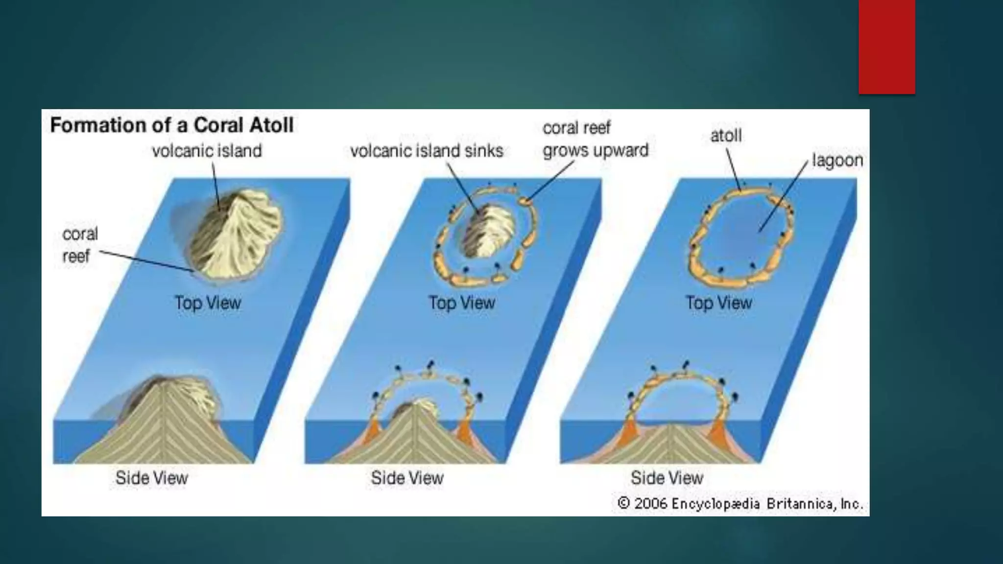 Sedimentary environments | PPTX