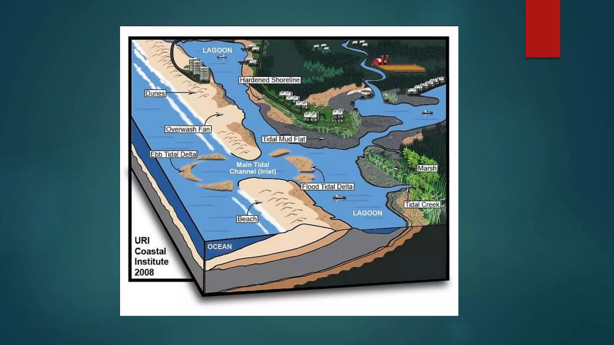 Sedimentary environments | PPTX | Geology | Science
