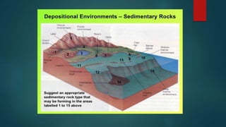 Sedimentary environments | PPTX
