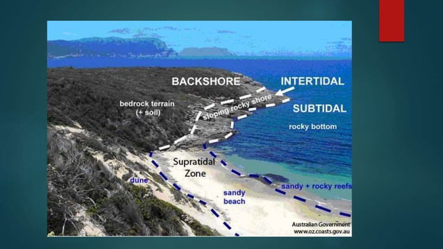 Sedimentary environments | PPTX | Geology | Science