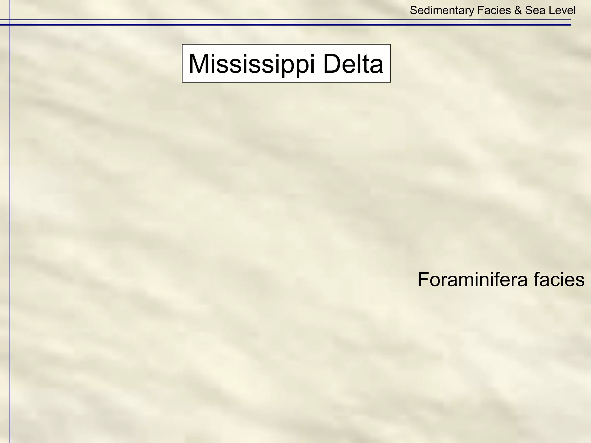 Sedimentary Facies.ppt