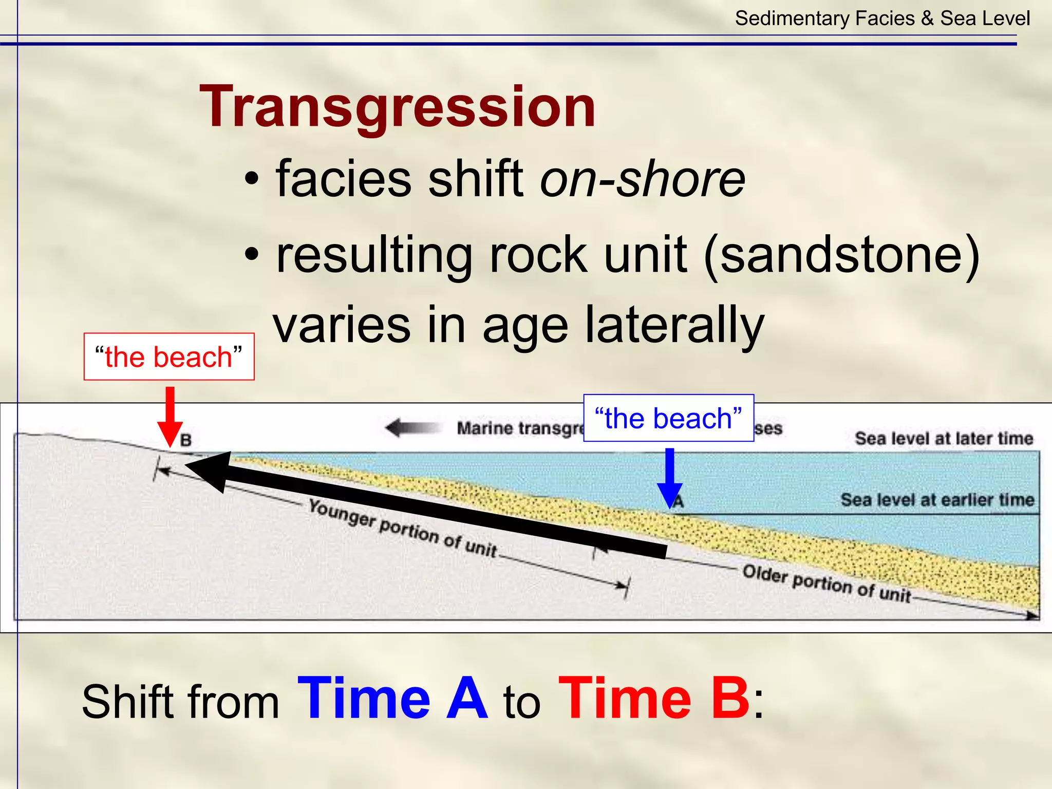 Sedimentary Facies.ppt