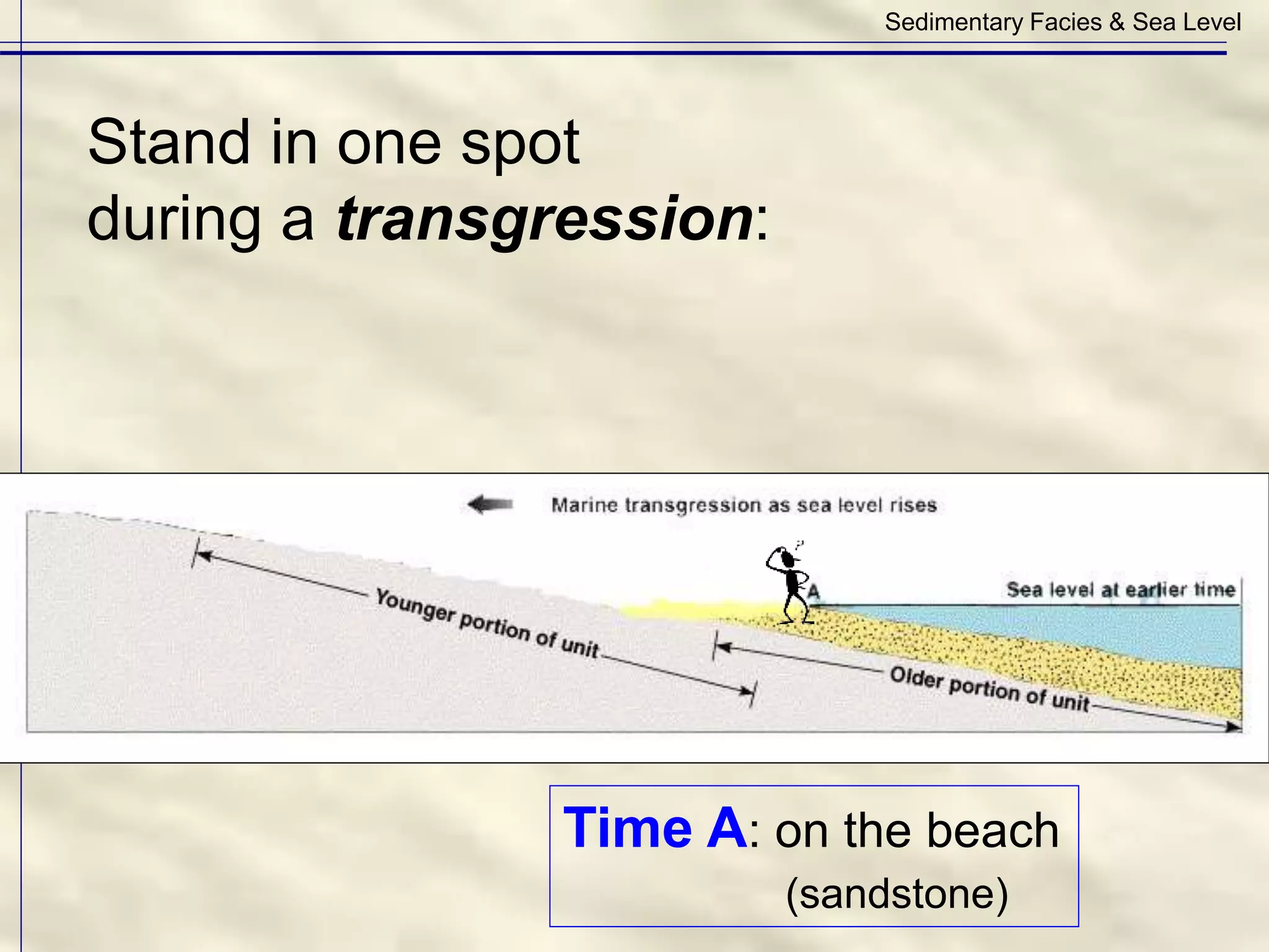 Sedimentary Facies.ppt