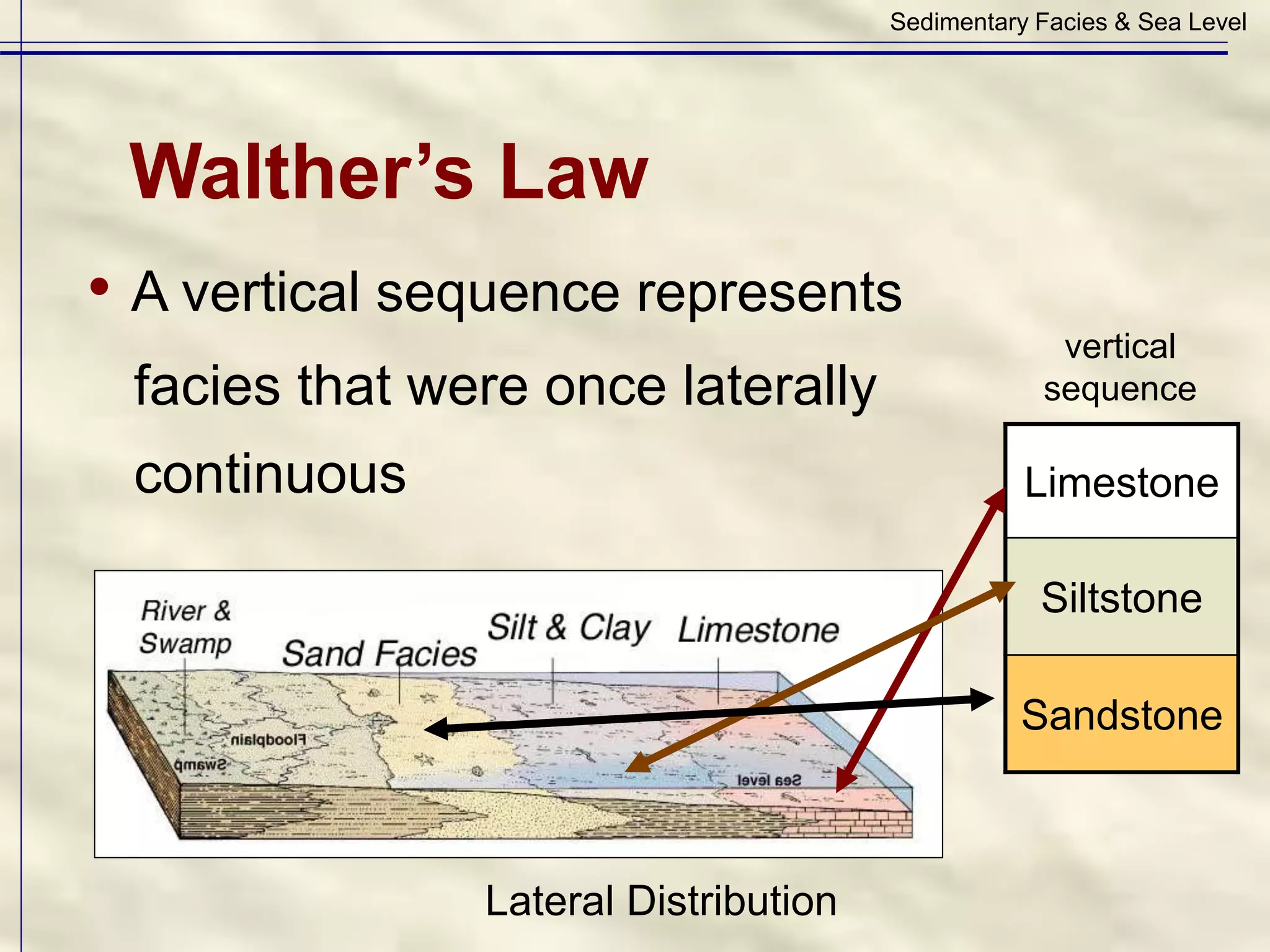 Sedimentary Facies.ppt