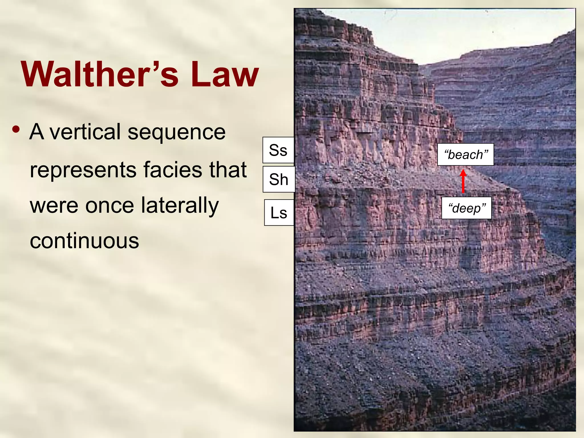 Sedimentary Facies.ppt