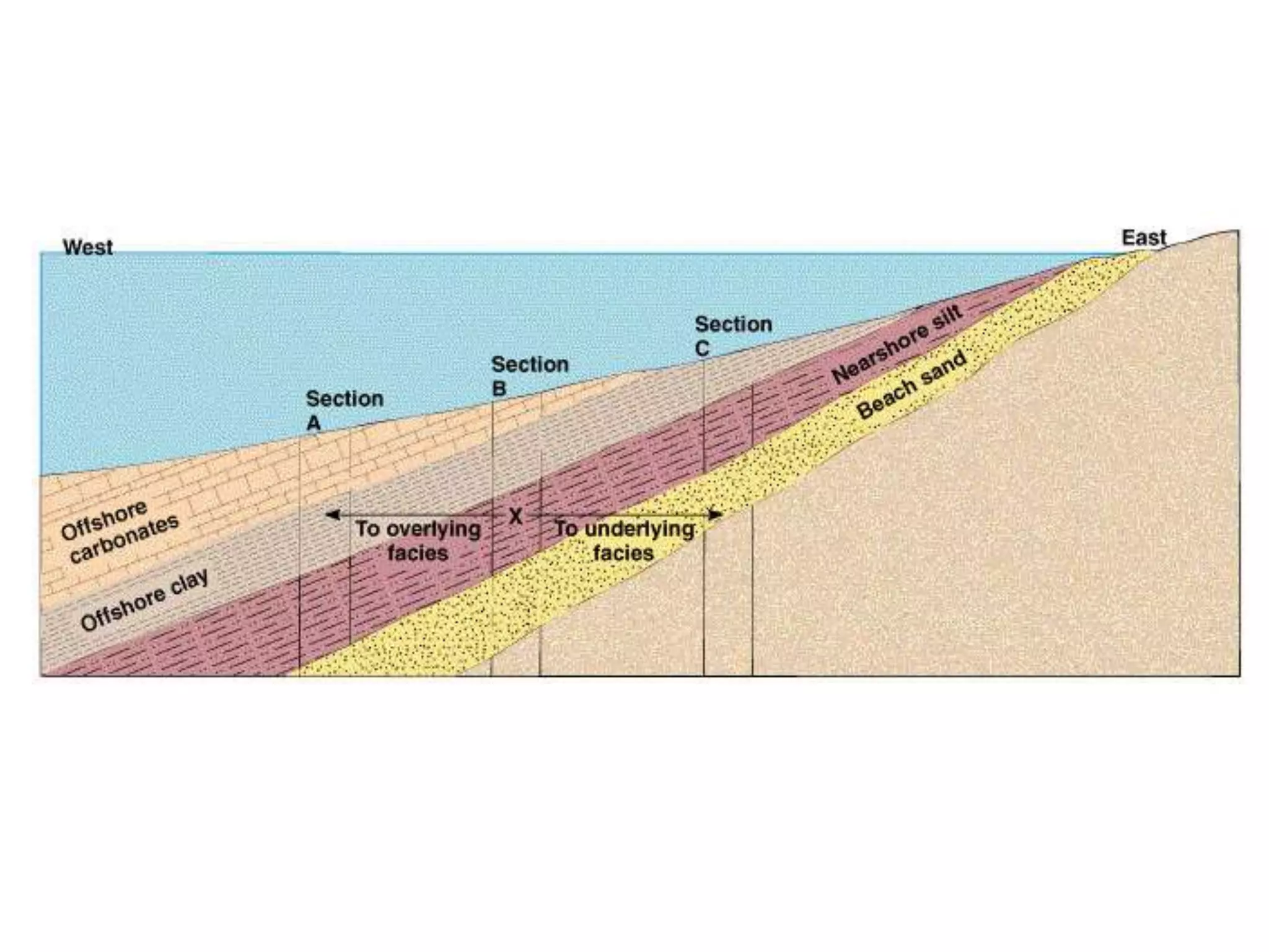 Sedimentary Facies.ppt