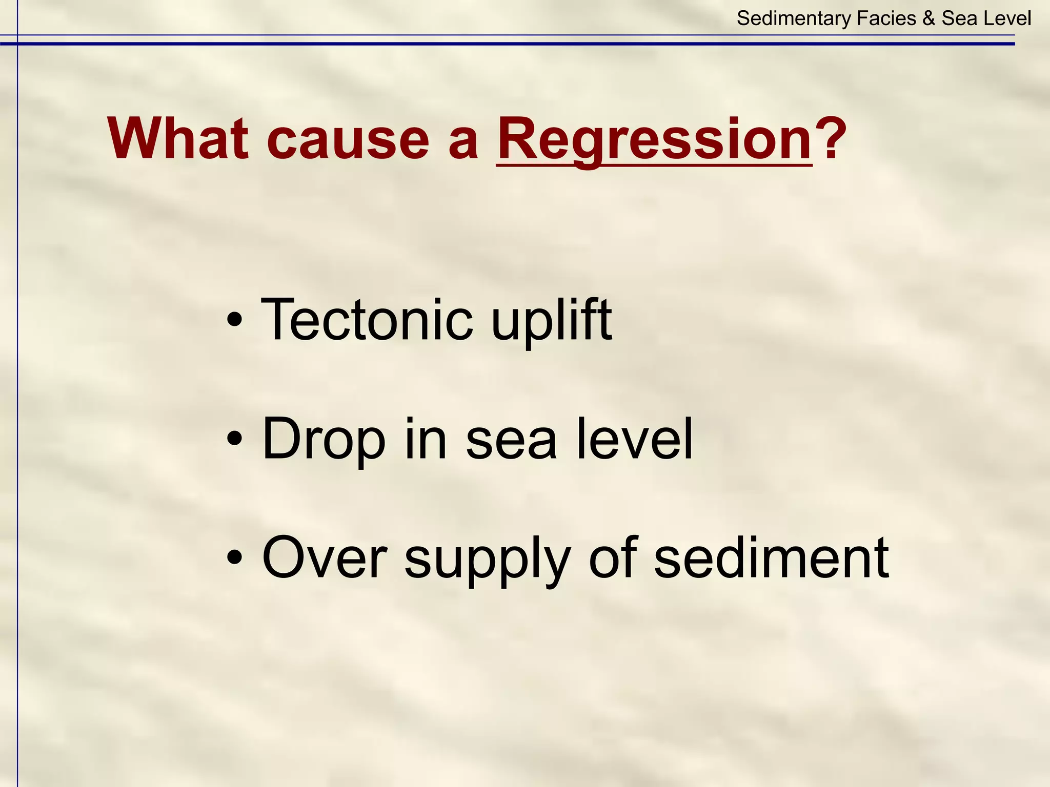 Sedimentary Facies.ppt