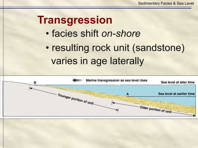 Sedimentary Facies.ppt