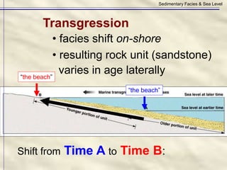 Sedimentary Facies.ppt