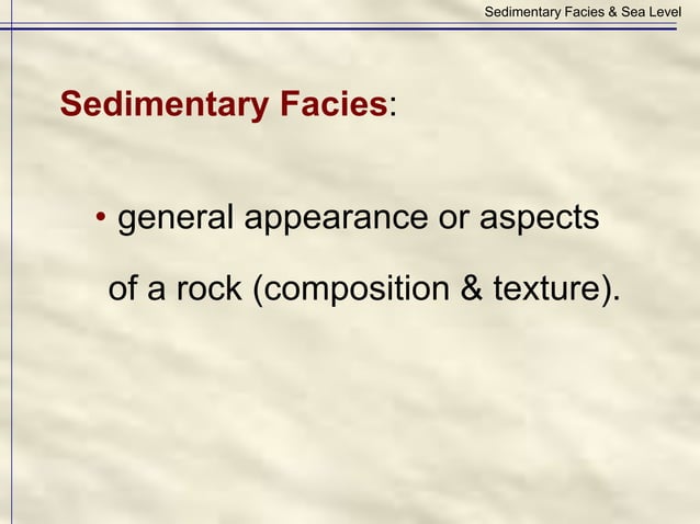 Sedimentary Facies.ppt