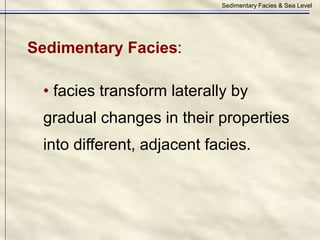 Sedimentary Facies.ppt