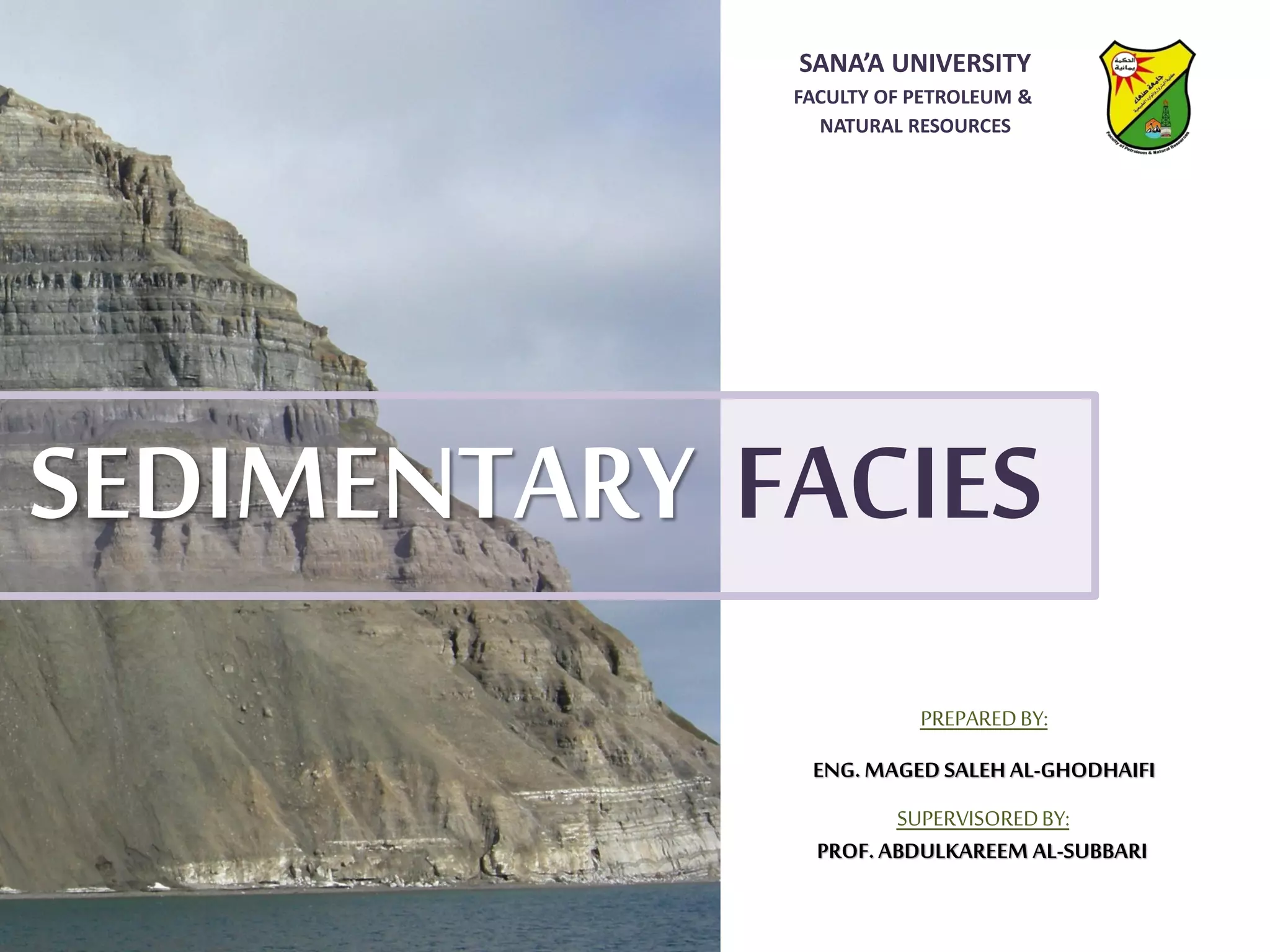sedimentary facies.pdf