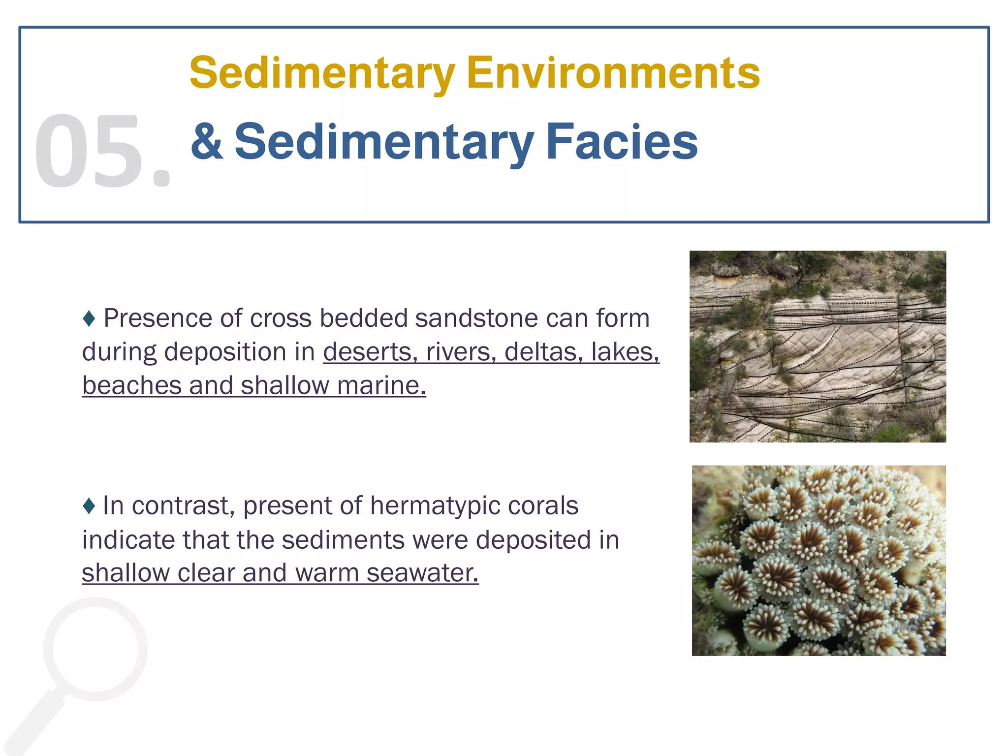 sedimentary facies.pdf
