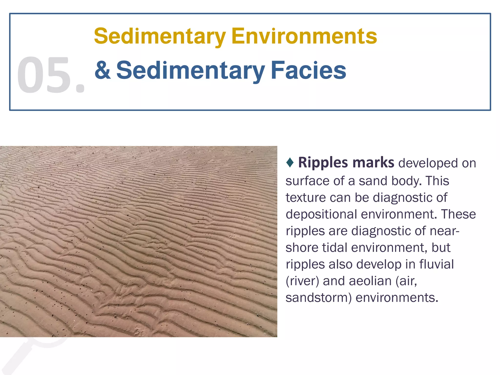 sedimentary facies.pdf