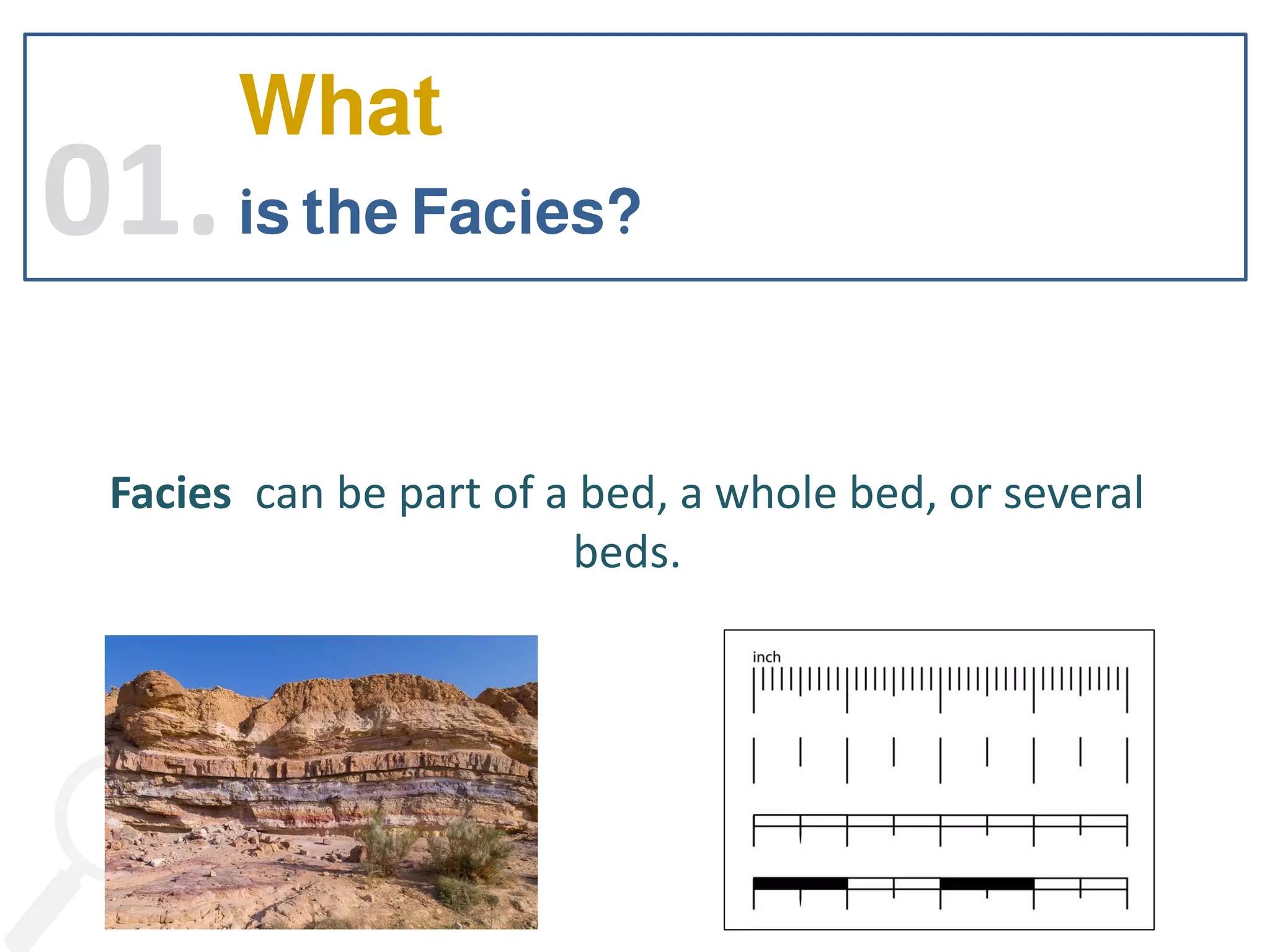 sedimentary facies.pdf