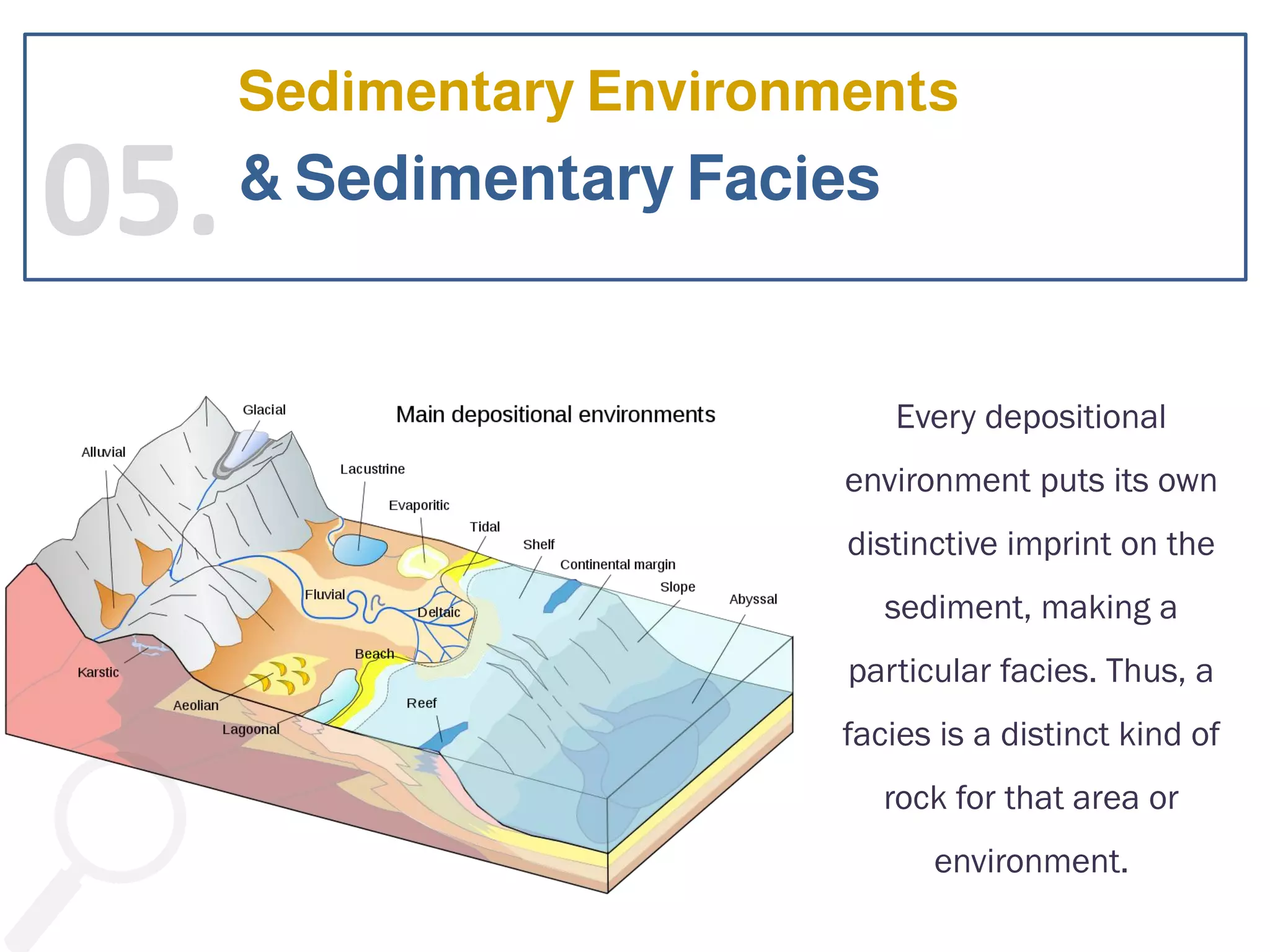 sedimentary facies.pdf