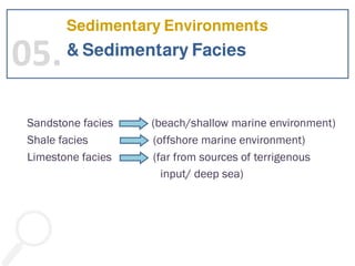 sedimentary facies.pdf