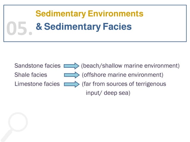 sedimentary facies.pdf | Geology | Science