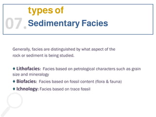 sedimentary facies.pdf