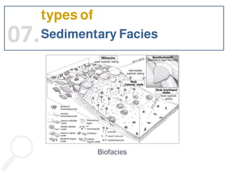 sedimentary facies.pdf