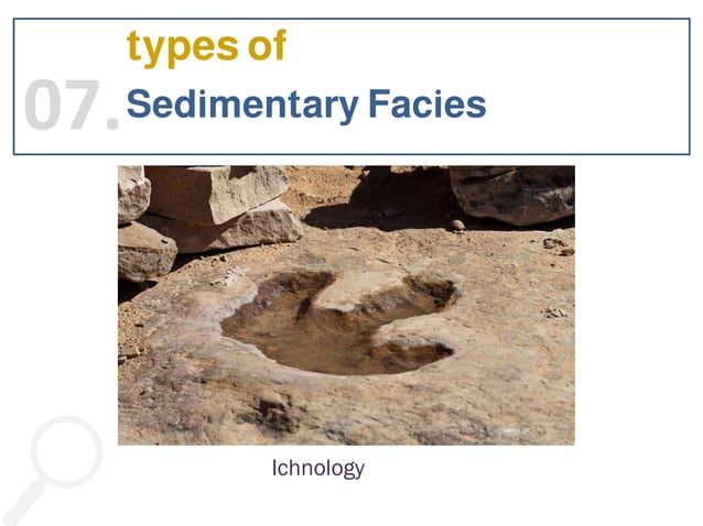 sedimentary facies.pdf | Geology | Science
