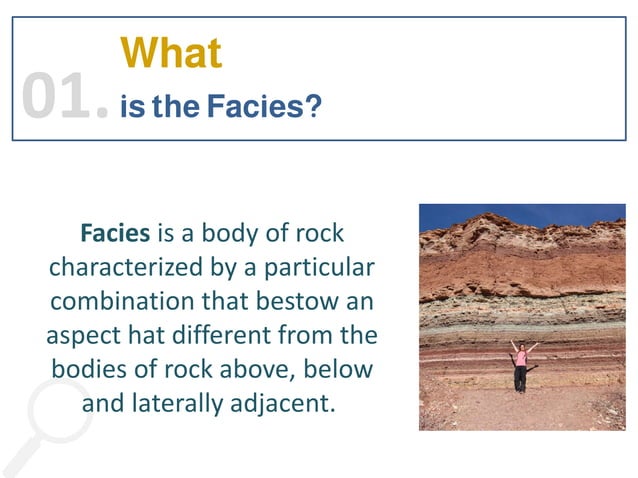 sedimentary facies.pdf | Geology | Science