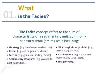 sedimentary facies.pdf