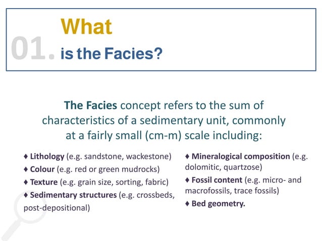 sedimentary facies.pdf | Geology | Science