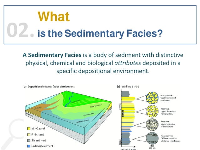 sedimentary facies.pdf | Geology | Science