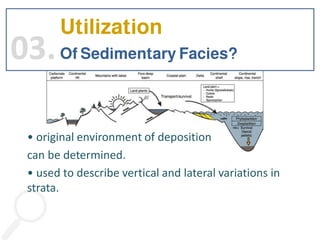 sedimentary facies.pdf