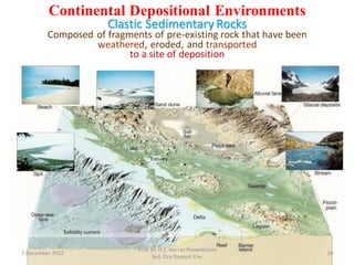 Sedimentary ore deposit environments | PDF