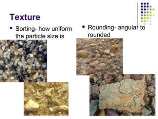 Sedimentary rock notes09 | PPT