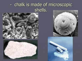 Sedimentary rocks | PPT