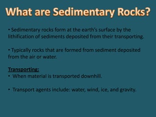 Sedimentary rocks | PPTX | Geology | Science